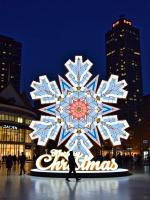China Dazzling Outdoor Snowflake Light Christmas Decorations - Weatherproof Stainless Steel Sculpture for Building Exterior Facades for sale