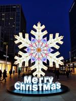 China Dazzling Outdoor Snowflake Light Christmas Decorations - Weatherproof Stainless Steel Sculpture for Building Exterior Facades for sale