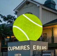 China Large Bright Green Tennis Ball Sculpture with Custom Base, Outdoor Giant Sports Model for sale