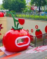 China Custom Tomato-Themed Street Sculptures & Decor | Creative Mall/Open-Street Installation Factory for sale