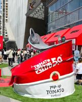 China Custom Tomato-Themed Street Sculptures & Decor | Creative Mall/Open-Street Installation Factory for sale