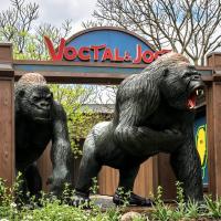 China Lifelike Gorilla Sculpture Fiberglass Primate Statue For Zoo Jungle Themed Parks for sale
