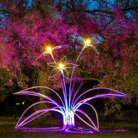 China Petal Art Installation Outdoor Grass Park Square Shopping Mall Luminous Flower Shape Lights Steel Acrylic LED Hand Forged Laser for sale