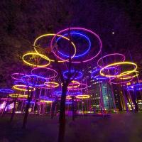 China Colorful Luminous Grass Steel Acrylic LED Hand Forged Customized Sculpture Outdoor Art Installation Commercial Center Square for sale