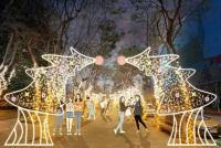 China High Quality Steel Acrylic LED Light Tunnel Motif Arch Sculpture Holiday Wedding Decor IP65 Rated Thanksgiving Christmas for sale