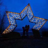 China Commercial Outdoor LED 3D Giant Starlight Landscape Decoration Christmas Halloween IP65 Home Wedding Use 2700K Warm White 50000 for sale