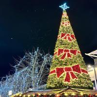 China Outdoor Waterproof IP65 & IP65 LED Christmas Tree Lights Popular for Holiday and Wedding Decorations for sale