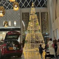 China Outdoor Waterproof IP65 & IP65 LED Christmas Tree Lights Popular for Holiday and Wedding Decorations for sale
