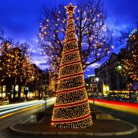China Outdoor Waterproof IP65 & IP65 LED Christmas Tree Lights Popular for Holiday and Wedding Decorations for sale