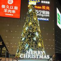 China Outdoor Waterproof IP65 & IP65 LED Christmas Tree Lights Popular for Holiday and Wedding Decorations for sale