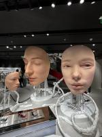 China Dynamic Sculpture interactive robotic face sculpture engineered to transform guest experiences in upscale commercial environments for sale