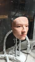 China Cultural Center Robotic Art Interactive Mechanical Face For Public Art Spaces for sale