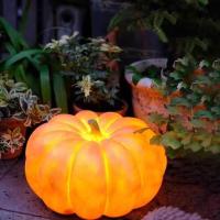 China Pumpkin Shape Outdoor Waterproof Halloween Lights Garden Light for Villa Terrace Handheld Lawn Decorative Atmosphere Lighting for sale