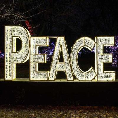 China Custom Large LED Light up Letters, Holiday Words Sign for Christmas & New Year Event for sale