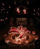 China Ethereal Giant Koi Fish Lantern - Bespoke 3D Paper Art Installation for Luxury Brand Activations & Events for sale