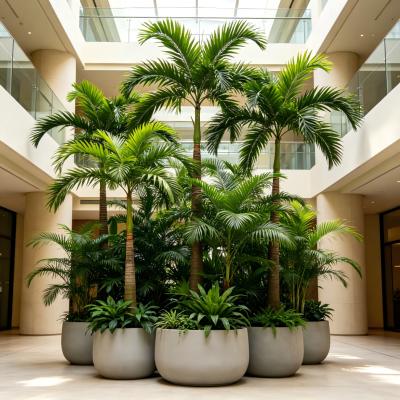 China High Simulation UV-resistant Artificial Palm Tree with Customizable Height for Indoor and Outdoor Decor for sale