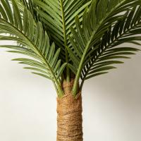 China High Simulation UV-resistant Artificial Palm Tree with Customizable Height for Indoor and Outdoor Decor for sale