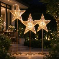 China Interactive 8m Height LED Wire Mesh Star Light with DC12V/24V Low Voltage Illuminated Star Decoration for Outdoor Commercial Displays for sale