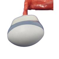 China Ultrasonic 4D Convex RAB4-8-D GE Logiq S7 LogiqE9 Voluson E6 VolusonE8 Expert Probe for sale