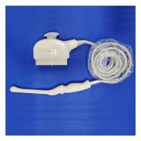 China Electric Power Transvaginal Probe Transducer for GE MTZ Ultrasound Human Compatible for sale