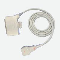 China Xario Aplio300 Aplio400 Ultrasound Linear Transducer PLT-704AT for Medical Diagnosis for sale