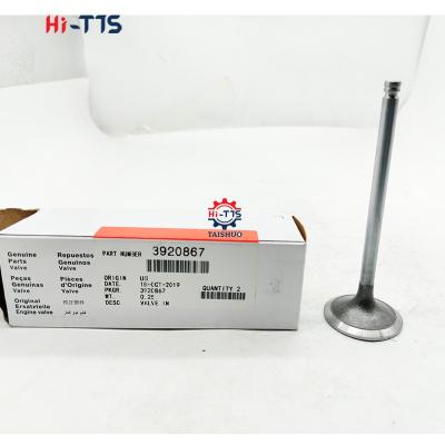 China 6BT 3920867 Aftermarket Excavator Engine Exhaust Valve 0.3kg Metal for sale