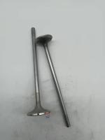 China Diesel Engine Exhaust Valve 153-7023 for C15 C18 1 Year Warranty for sale