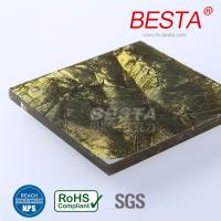 China Customizable Decorative Acrylic Sheets for Kitchen Cabinet Door Panels - 5-40mm Thickness, 93% Light Transmittance for sale