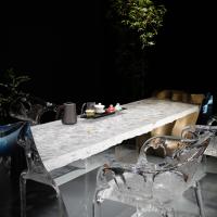 China Modern Acrylic Furniture - Clear PMMA Dining Chair with Custom Color Options | 5-25 Day Delivery | No Assembly Required for sale