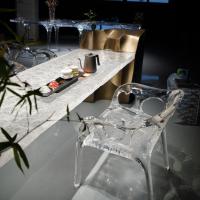 China Modern Acrylic Furniture - Clear PMMA Dining Chair with Custom Color Options | 5-25 Day Delivery | No Assembly Required for sale