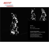 China BESTA Acrylic Art Sculptures - Medium Size Clear Abstract Modern Decor with Handmade Craftsmanship for sale