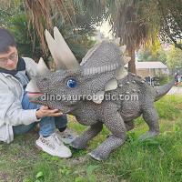 China Realistic Silicone Triceratops Robot Dinosaur with Quadruped Motion System and Multiple Performance Actions for sale
