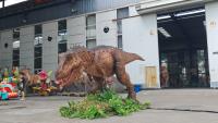 China Tyrannosaurus Rex Dinosaur For Sports Park Life Size for sale