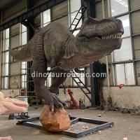 China Life Size Tyrannosaurus Rex Dinosaur For Sports Park for sale
