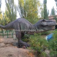 China Life Size Tyrannosaurus Rex Dinosaur For Sports Park for sale