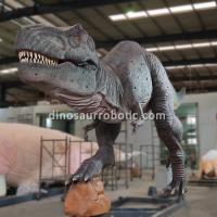 China Life Size Tyrannosaurus Rex Dinosaur For Sports Park for sale
