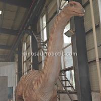China Diplodocus Life Size Animatronic Dinosaurs Outdoor for sale