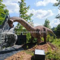 China Diplodocus Life Size Animatronic Dinosaurs Outdoor for sale