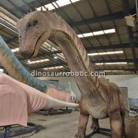 China Diplodocus Life Size Animatronic Dinosaurs Outdoor for sale