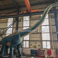 China Mamenchisaurus Realistic Dinosaur Animatronic For Sports Park for sale
