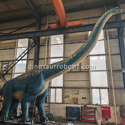 China Mamenchisaurus Realistic Dinosaur Animatronic For Sports Park for sale