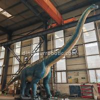 China Mamenchisaurus Realistic Dinosaur Animatronic For Sports Park for sale