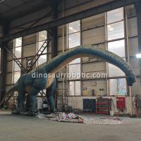 China Mamenchisaurus Realistic Dinosaur Animatronic For Sports Park for sale