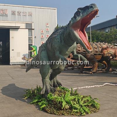 China Customized Giganotosaurus Life Size Animatronic Dinosaurs Outdoor for sale