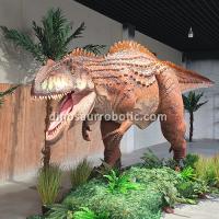 China Giganotosaurus Customized Life Size Animatronic Dinosaurs Outdoor for sale
