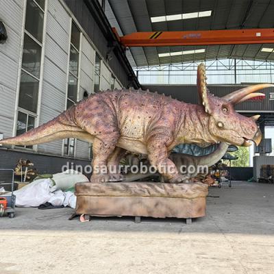 China Triceratops Realistic Animatronic Dinosaur Commercial for sale