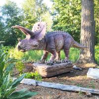 China Triceratops Realistic Animatronic Dinosaur Commercial for sale