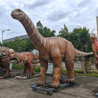 China Commercial Shunosaurus Realistic Animatronic Dinosaur for sale