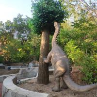 China Shunosaurus Animatronic Dinosaur Indoor Realistic Dinosaur Animatronic for sale