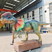 China Amusement Parks Animatronic Dilophosaurus Customizable Realistic Dinosaur Animatronic for sale